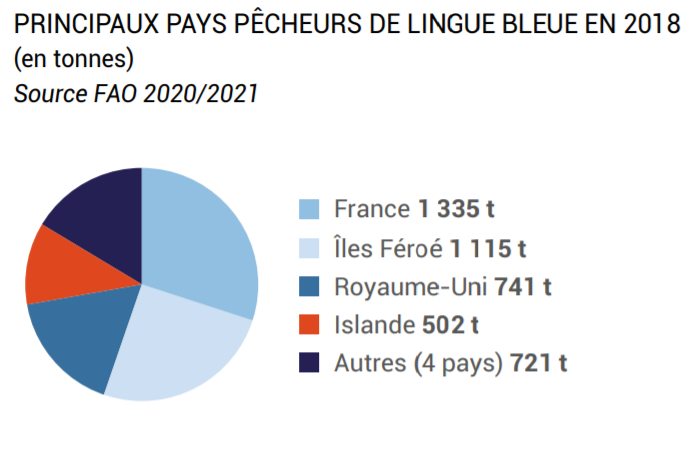 Lingue bleue | Guide des espèces